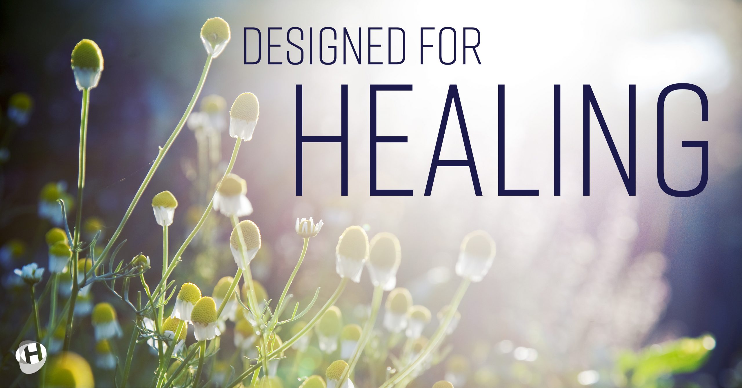 How Healing Spaces are Transforming Hospitals in PA